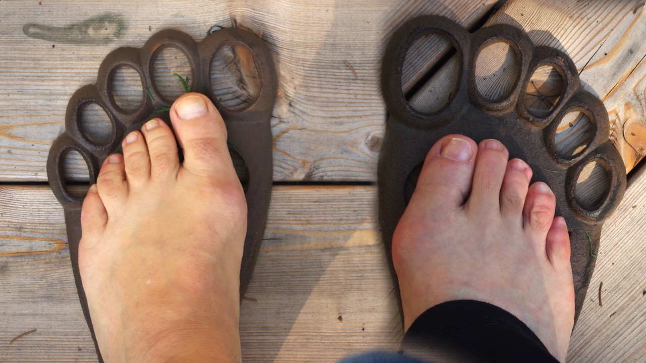 die-sprache-der-zehen-grundseminar-fuesse - Die Sprache der Zehen